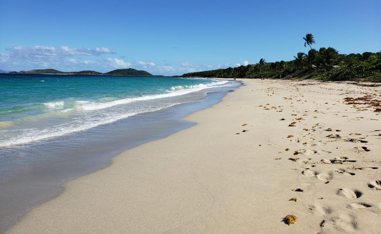 Todas las playas de Isla Culebra en el mapa con fotos y reseñas🏖️ ...