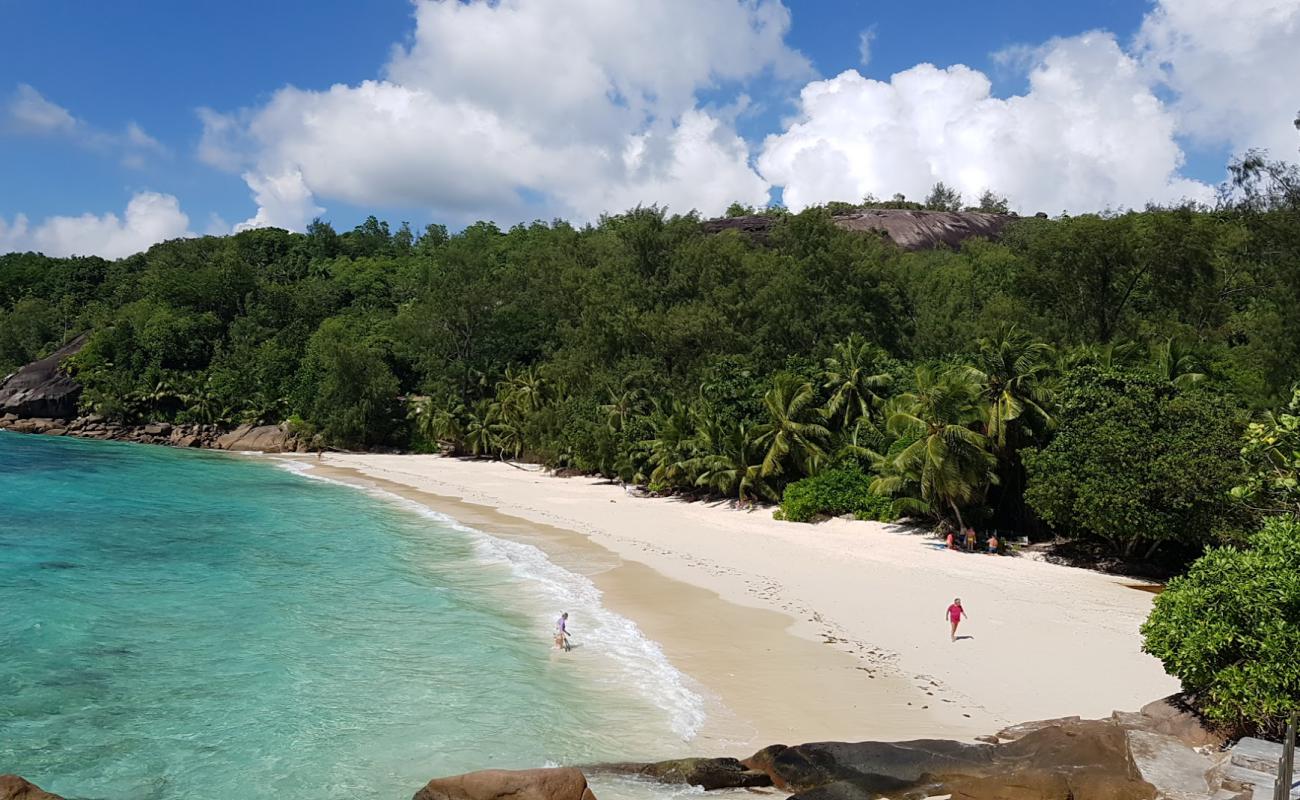 Todas las playas de Isla de Mahé en el mapa con fotos y reseñas🏖️ ...